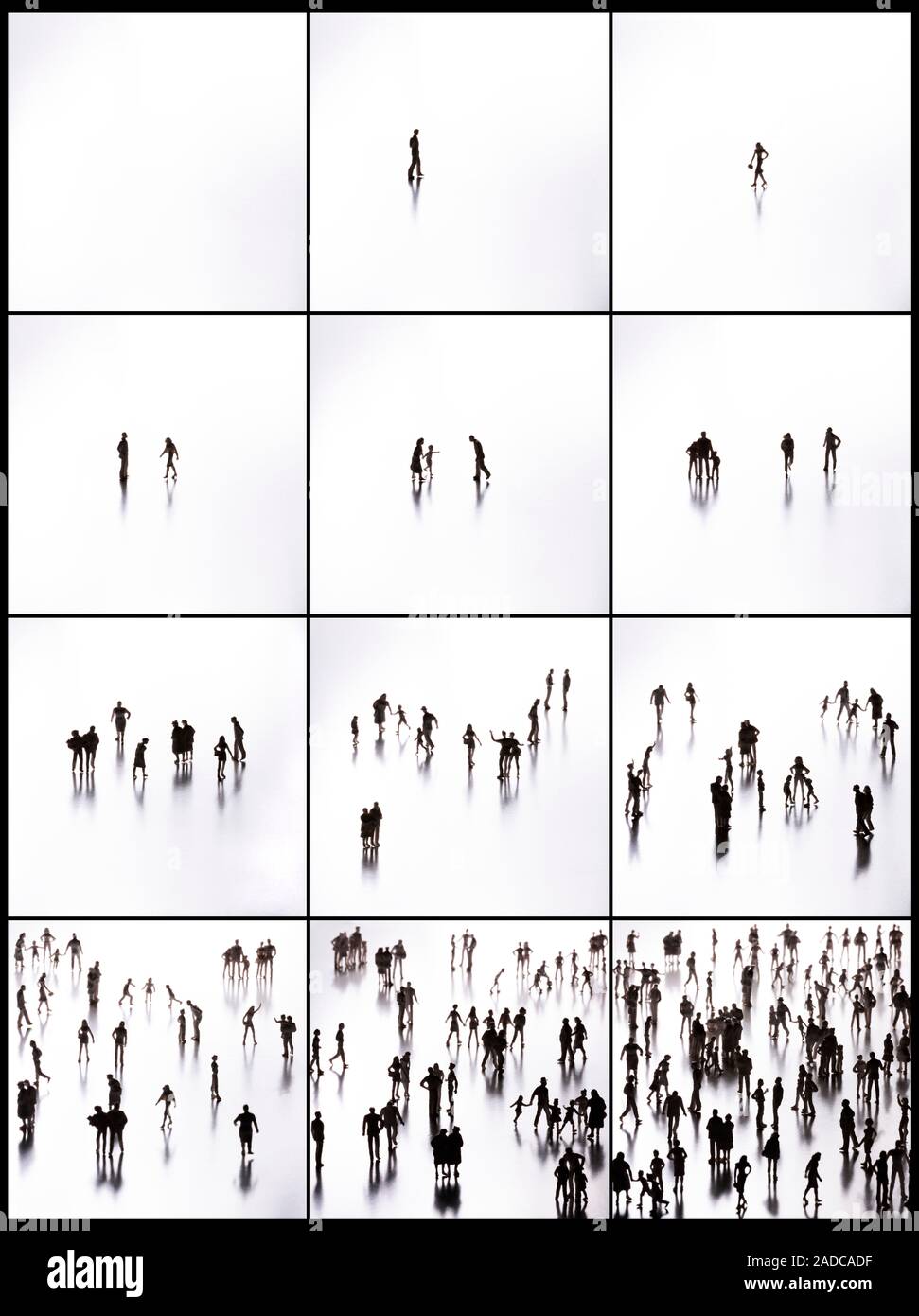 Fibonacci propagation, conceptual image. Three-by-four grid, showing ...