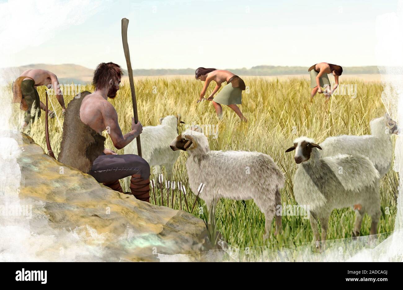 Neolithic agriculture. Illustration of men and women from a Stone Age ...