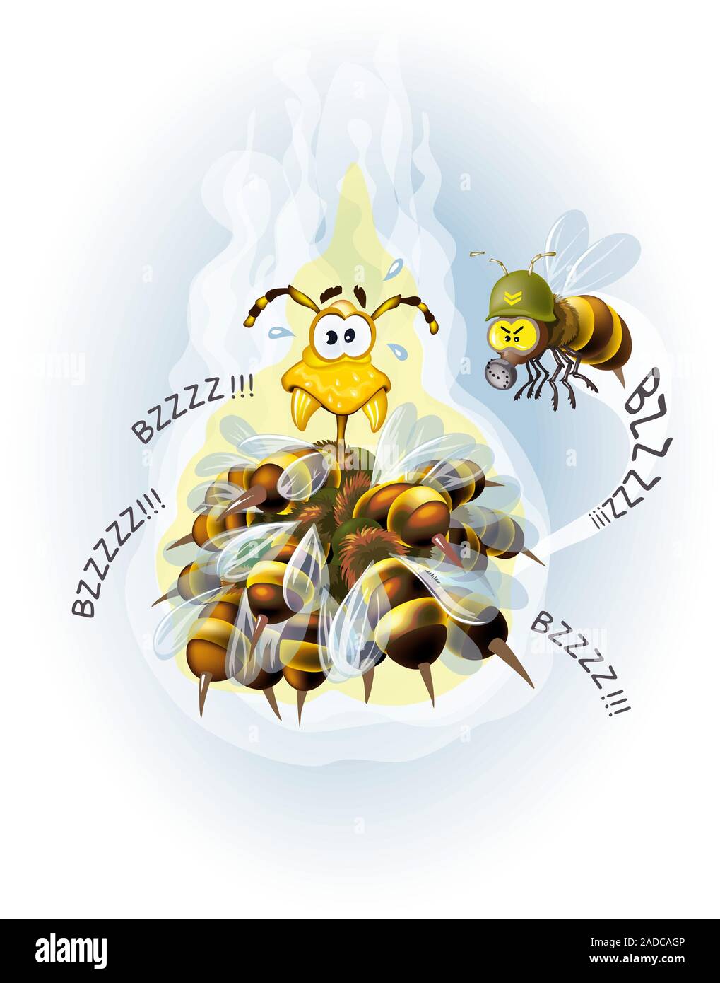 Japanese honey bee thermal defence. Cartoon illustration showing the ...