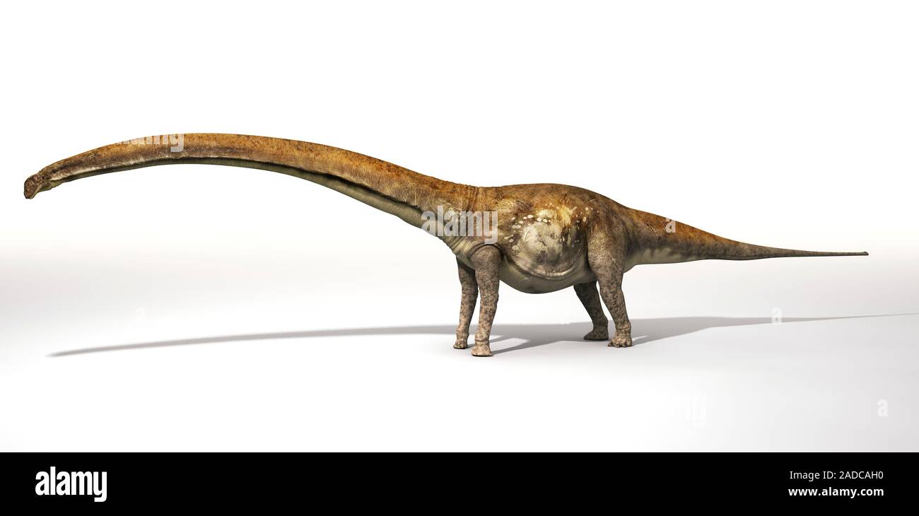 Mamenchisaurus dinosaur, illustration. Mamenchisaurus hochuanensis ...