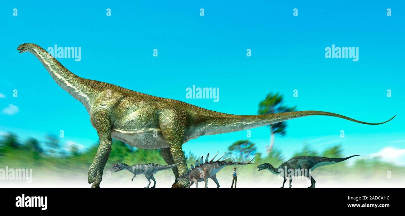 Sauropod Size Comparison