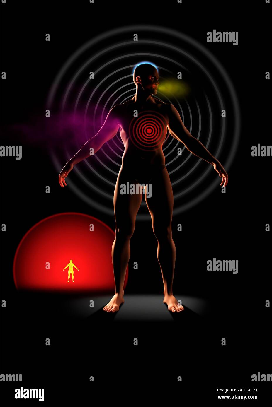 Body signals. Illustration of the different types of signals and ...
