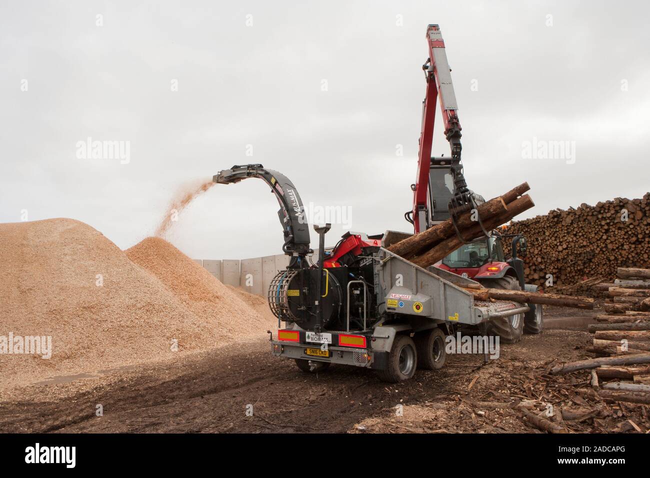 Wood chip fuel production. Wood chips being produced from seasoned logs ...