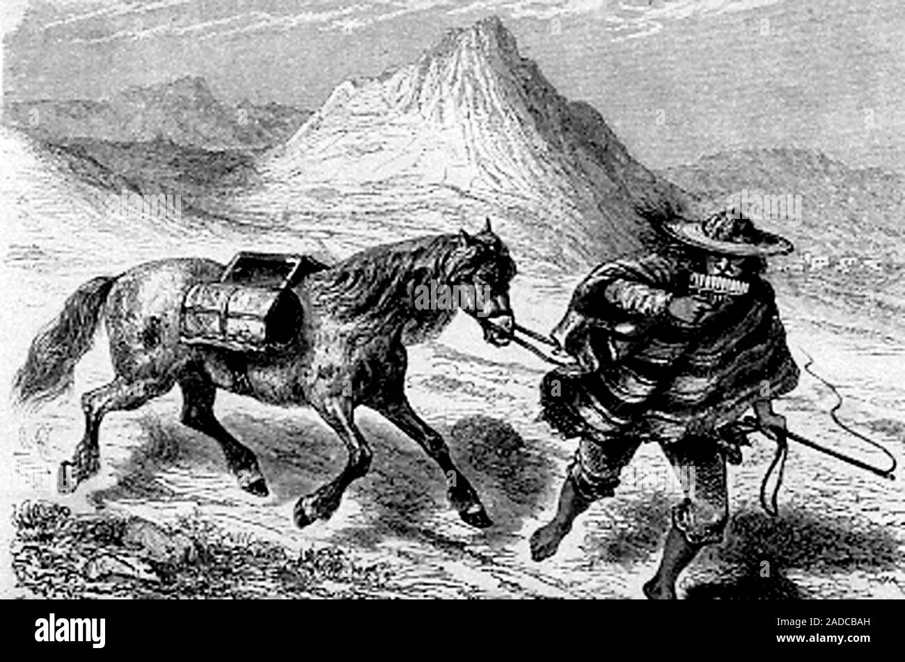 19th Century Peruvian postman. 1874 illustration of a postman trekking ...