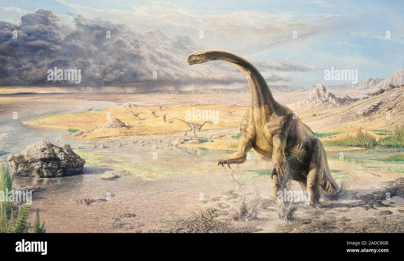 Prosauropod dinosaur. Computer illustration of a prosauropod in a ...