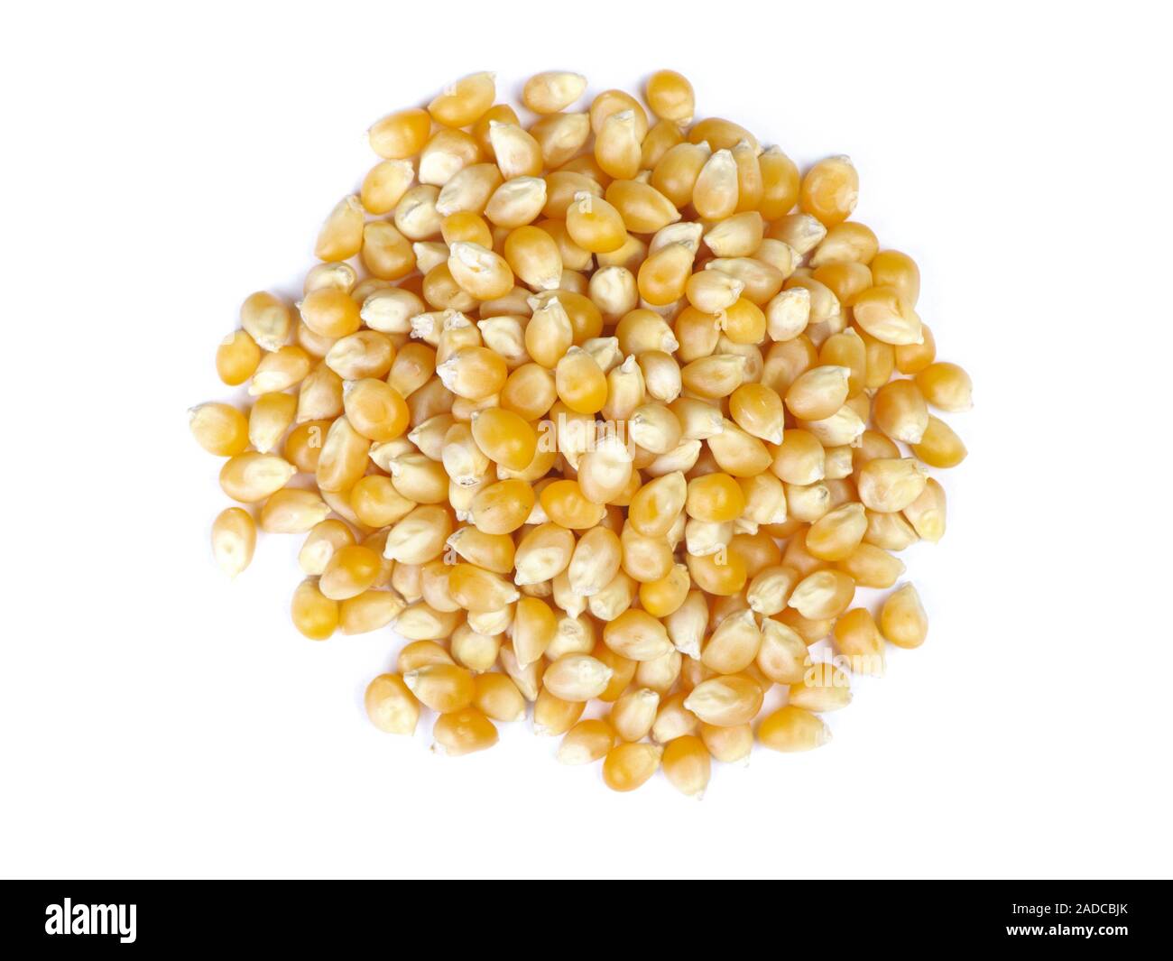 Pile of dried corn isolated on white Stock Photo - Alamy