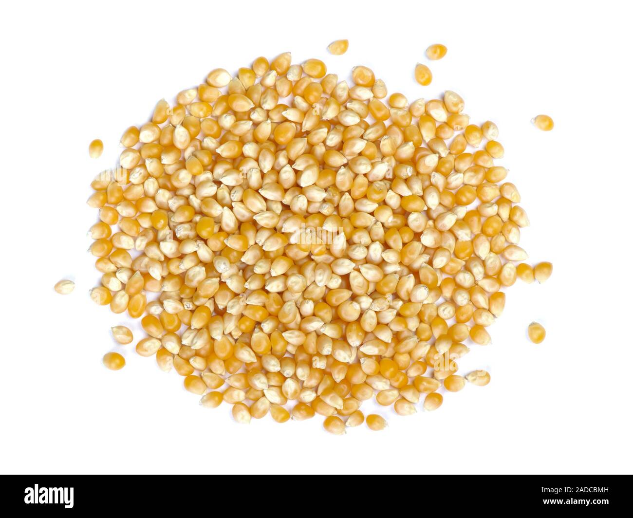 Pile of dried corn isolated on white Stock Photo - Alamy