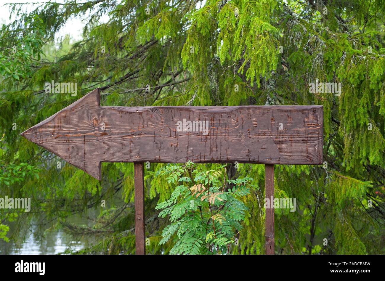 Blank directional arrow sign on nature background. Empty wooden sign ...