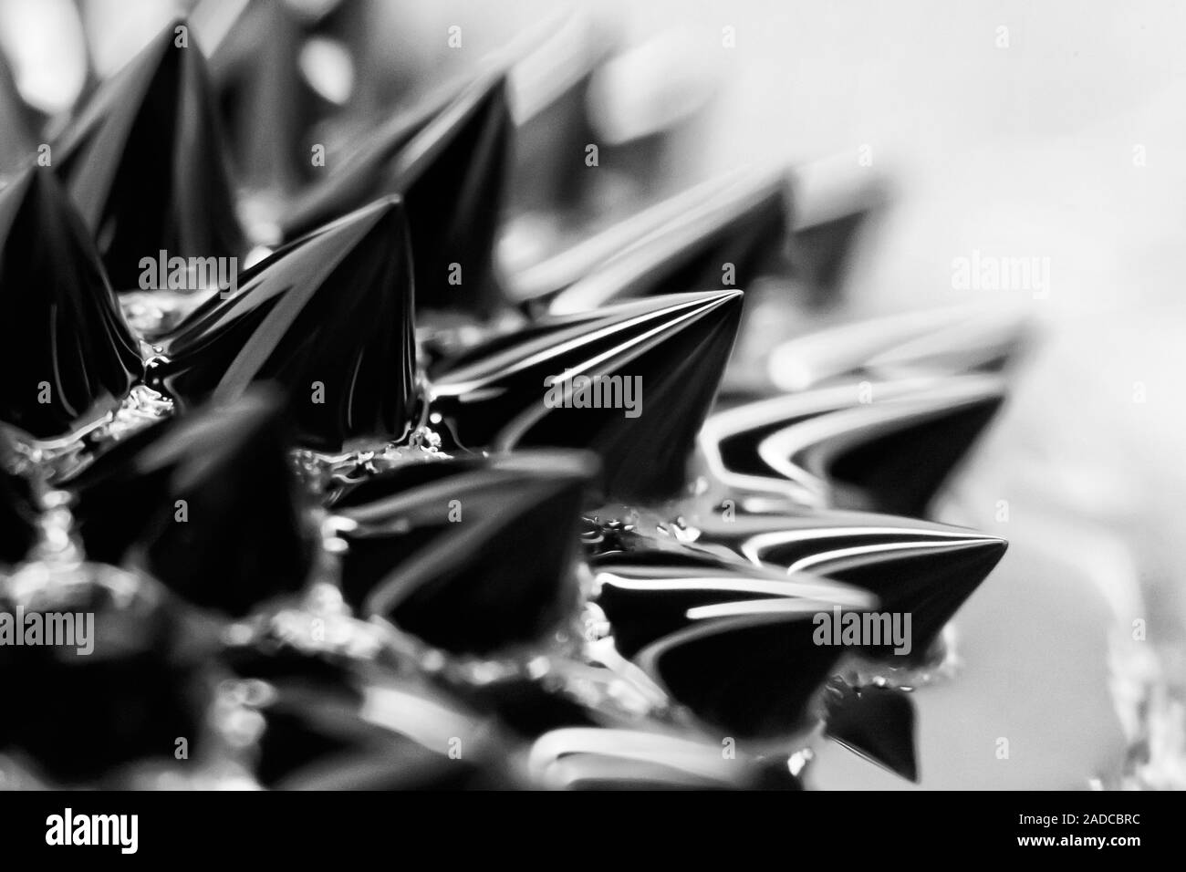 Macro photograph of ferrofluid being exposed to a magnetic force ...