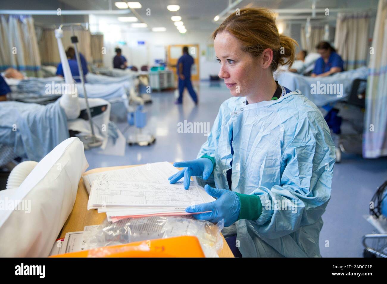 Hospital surgical staff member working on a post-operative ward ...