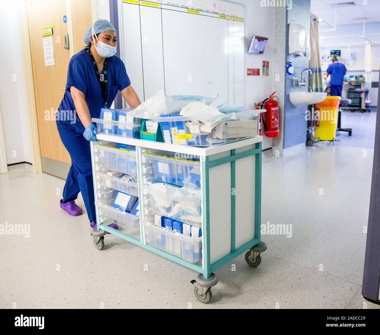 Surgical staff member in a hospital corridor, wheeling a tray of ...