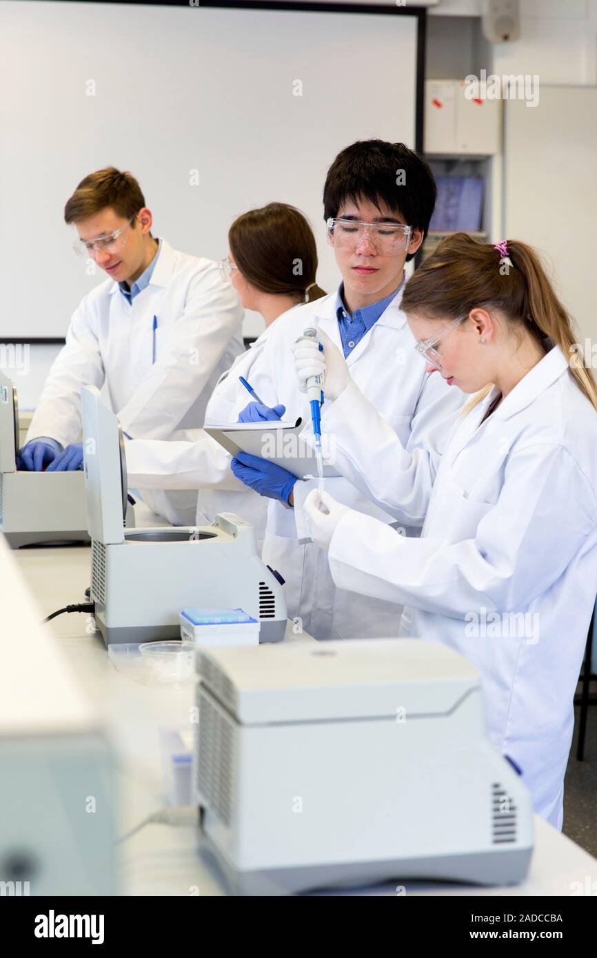 Chemistry students in an undergraduate teaching laboratory putting ...