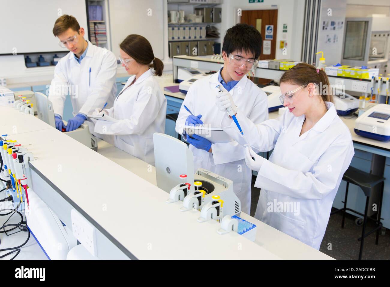 Chemistry students in an undergraduate teaching laboratory putting ...