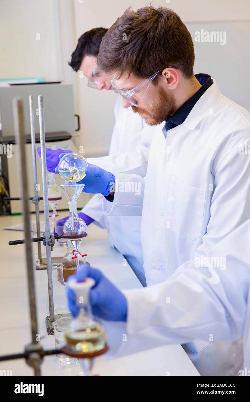Chemistry students using separating funnels for solvent-based extractions in an undergraduate ...