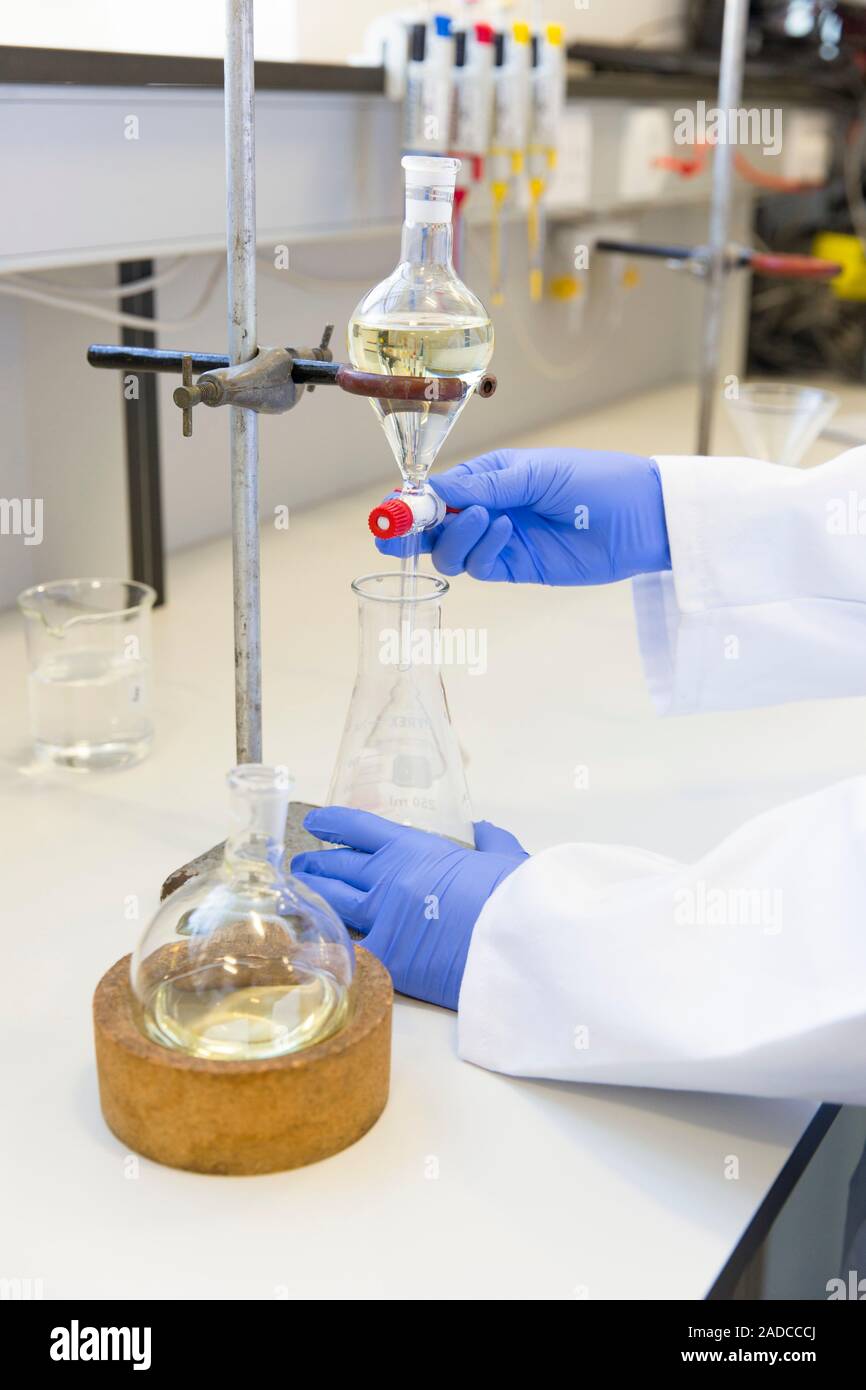 Close-up of a scientist's gloved hands using a separating funnel for a solvent-based extraction ...