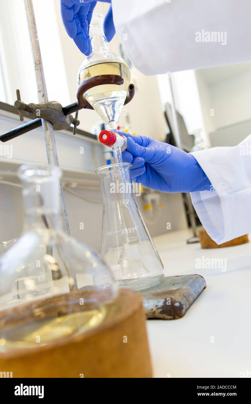 Close-up of a scientist's gloved hands using a separating funnel for a solvent-based extraction ...