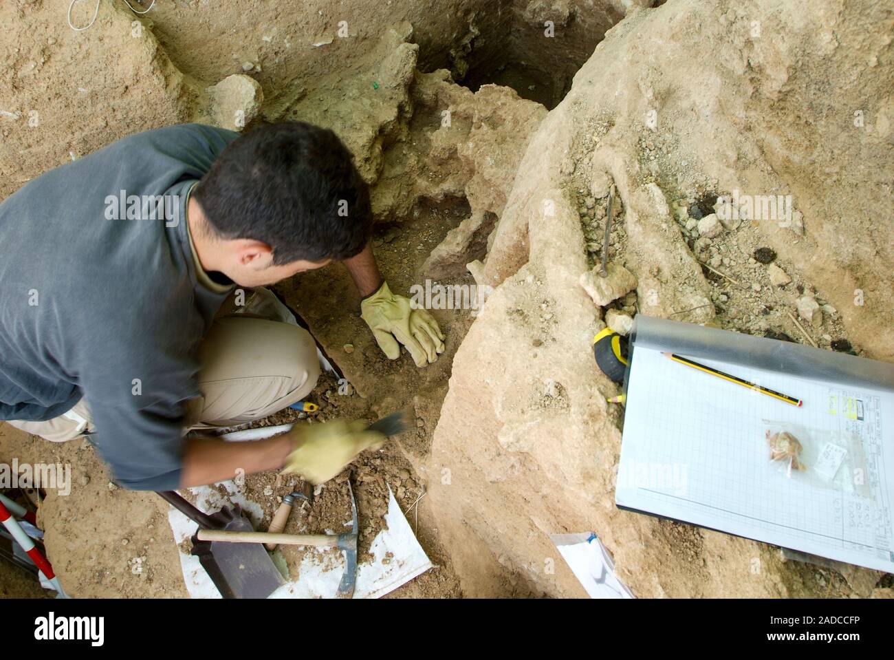 Neanderthal excavation. Researcher carrying out excavations for ...