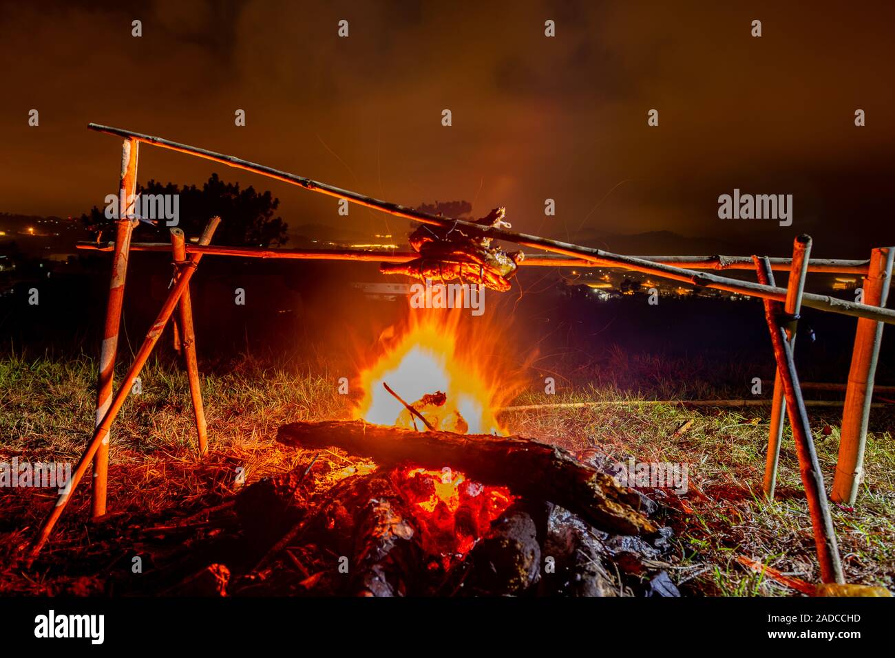 Grilled chicken on bonfire with orange flames and firewood Stock Photo ...