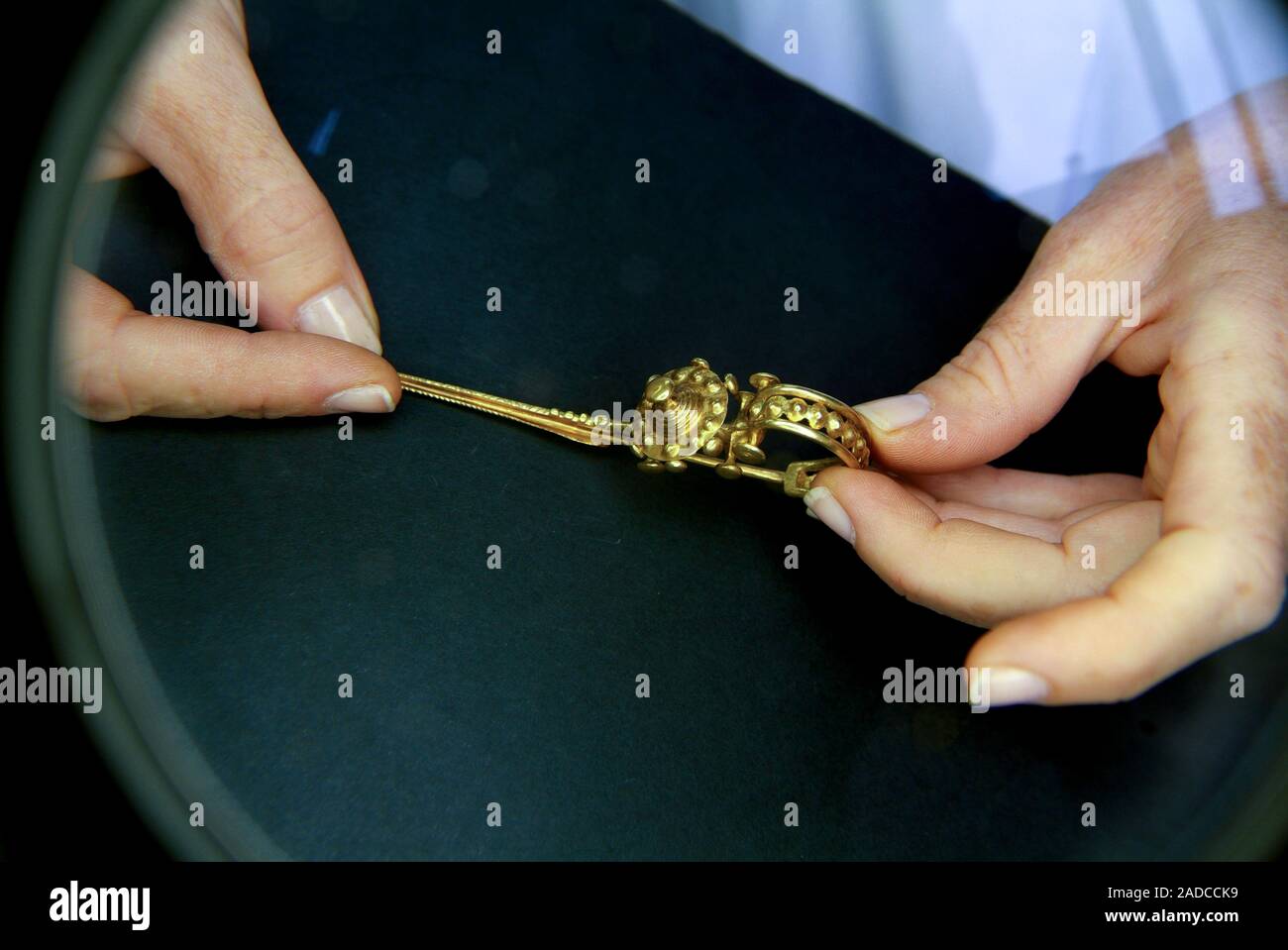 Conservation of Iron Age gold brooch. Close-up of an Iron Age gold ...