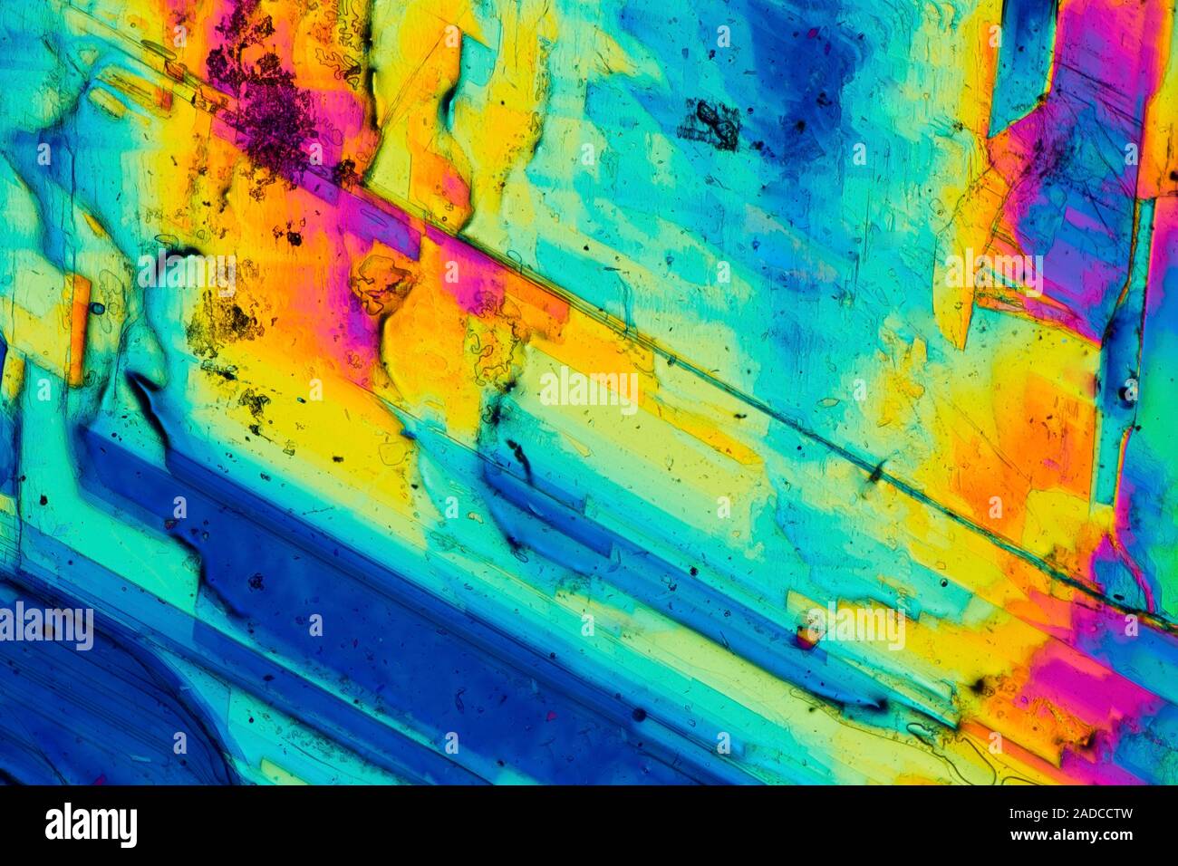 Gypsum. Polarised light micrograph of a thin section of gypsum. Gypsum ...