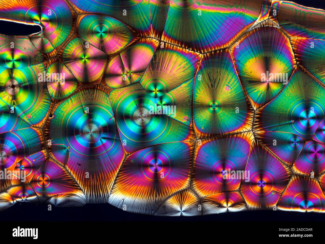 Vitamin C crystals, polarised light micrograph. The main dietary ...