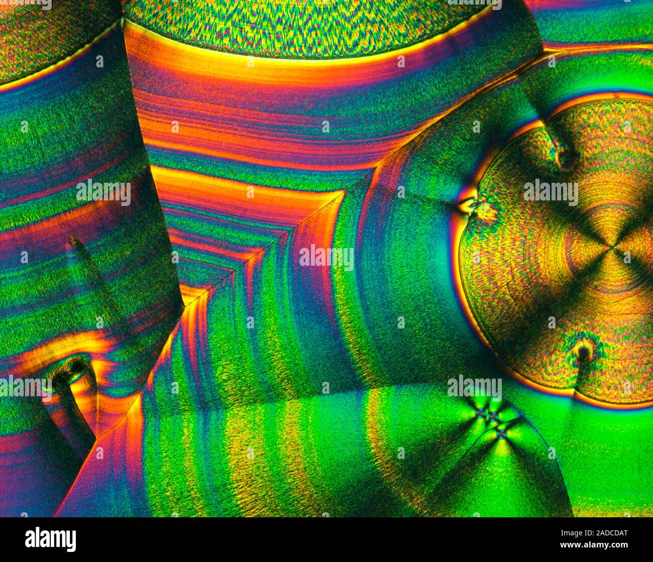 Vitamin C crystals, polarised light micrograph. The main dietary ...