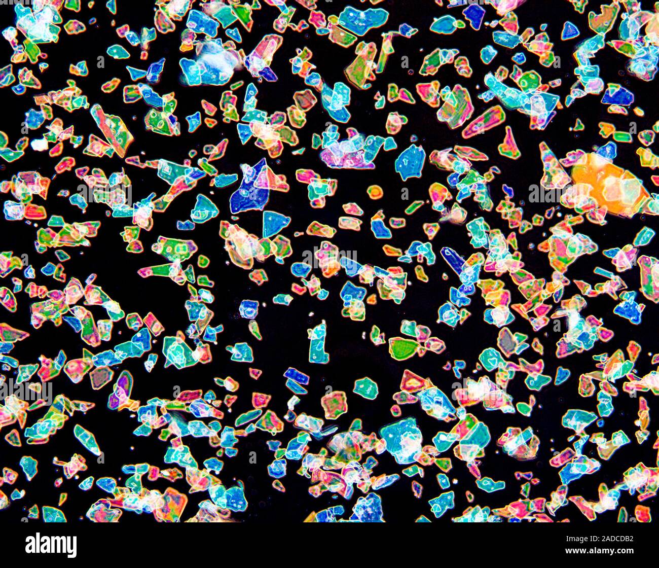 Glitter. Light micrograph (inverted phase contrast) of pieces of ...