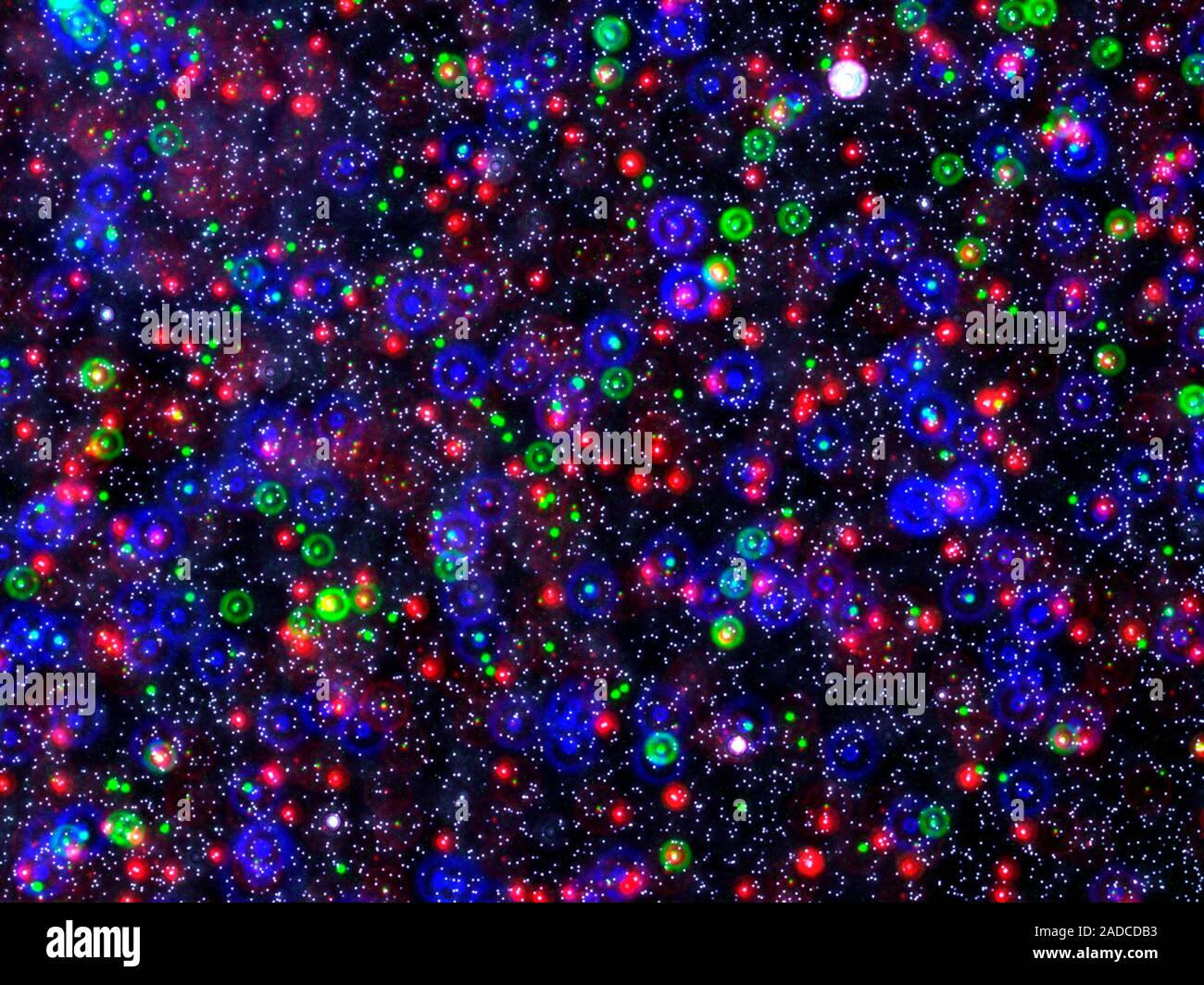 Microsphere calibration beads. Fluorescent light micrograph of multi ...