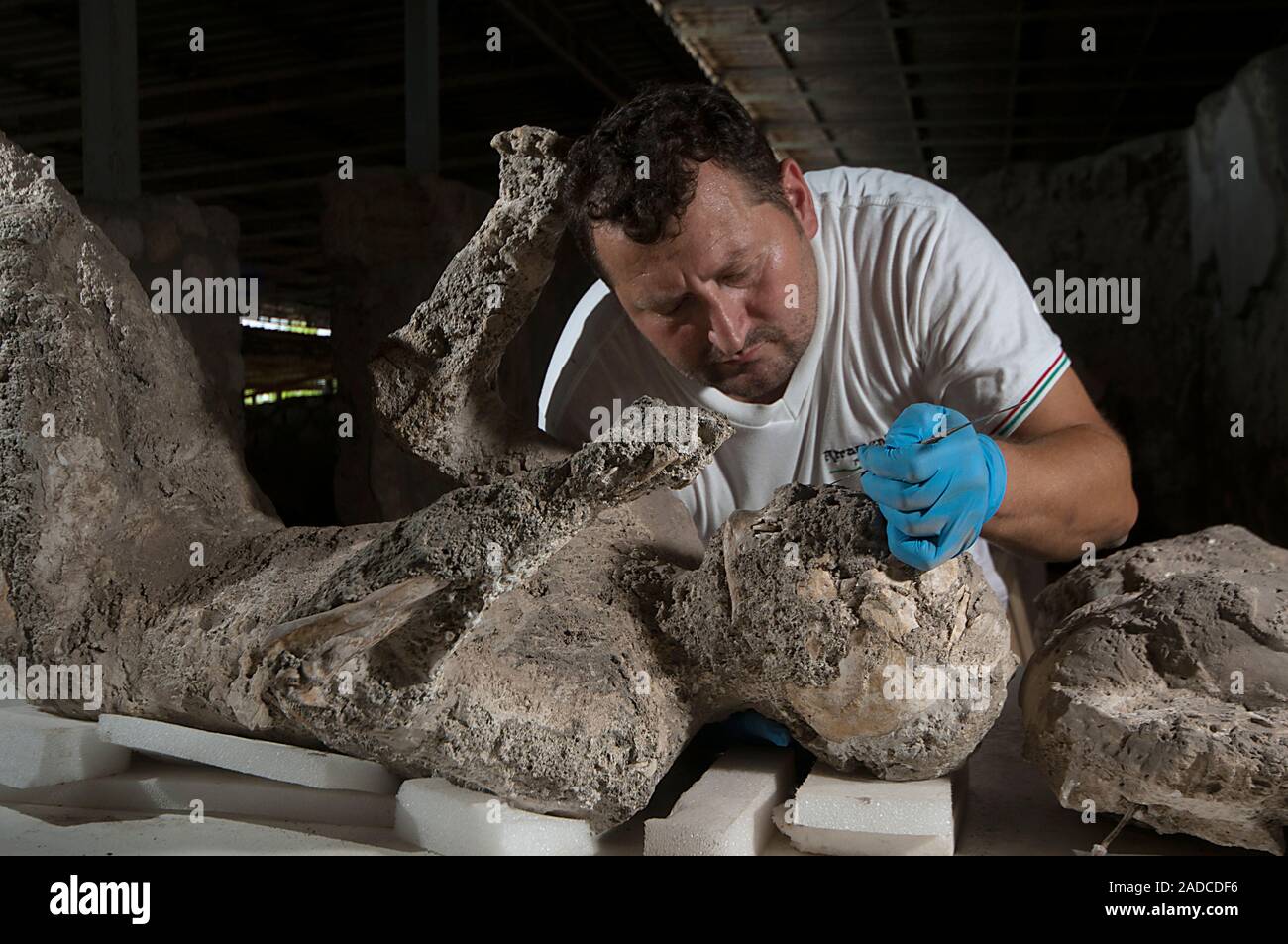 Preservation work being carried out on a body cast of a victim of the ...