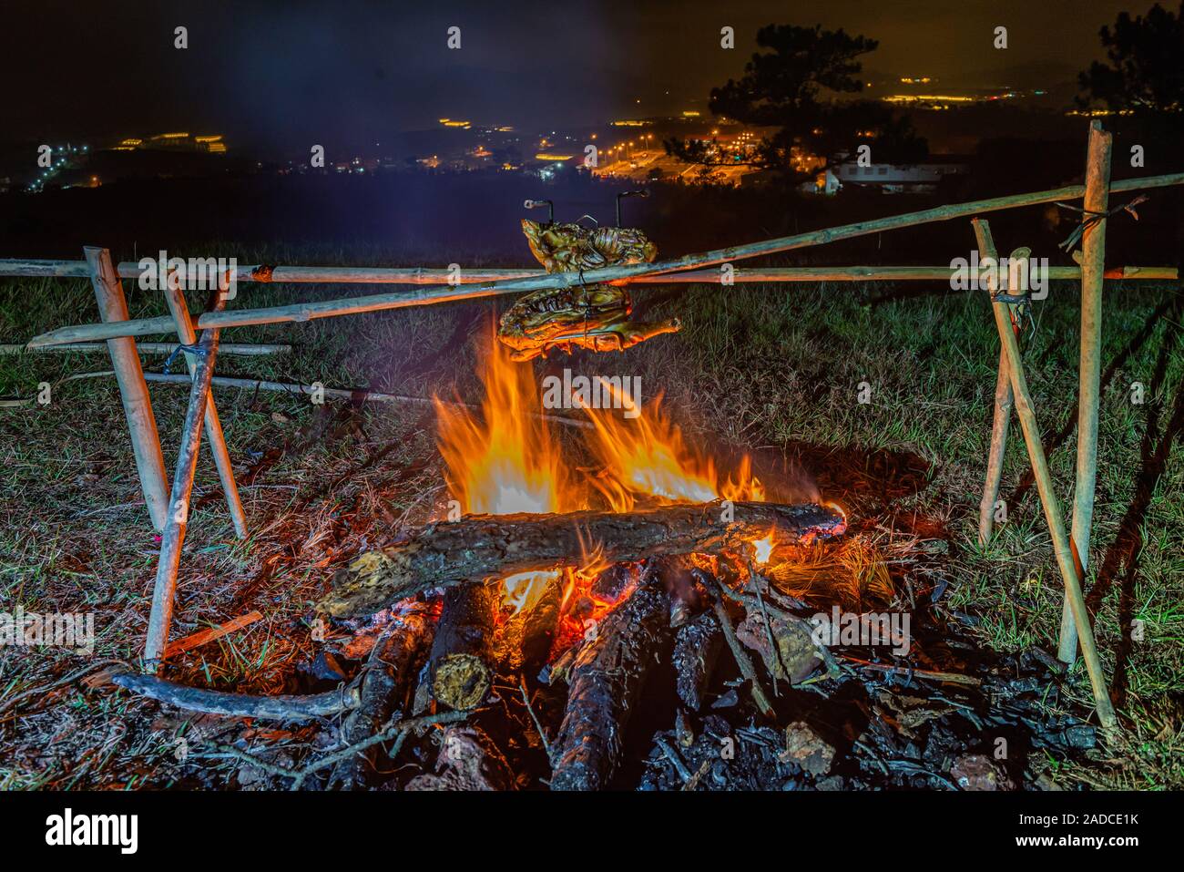Grilled chicken on campfire and firewoods at camping trip Stock Photo ...