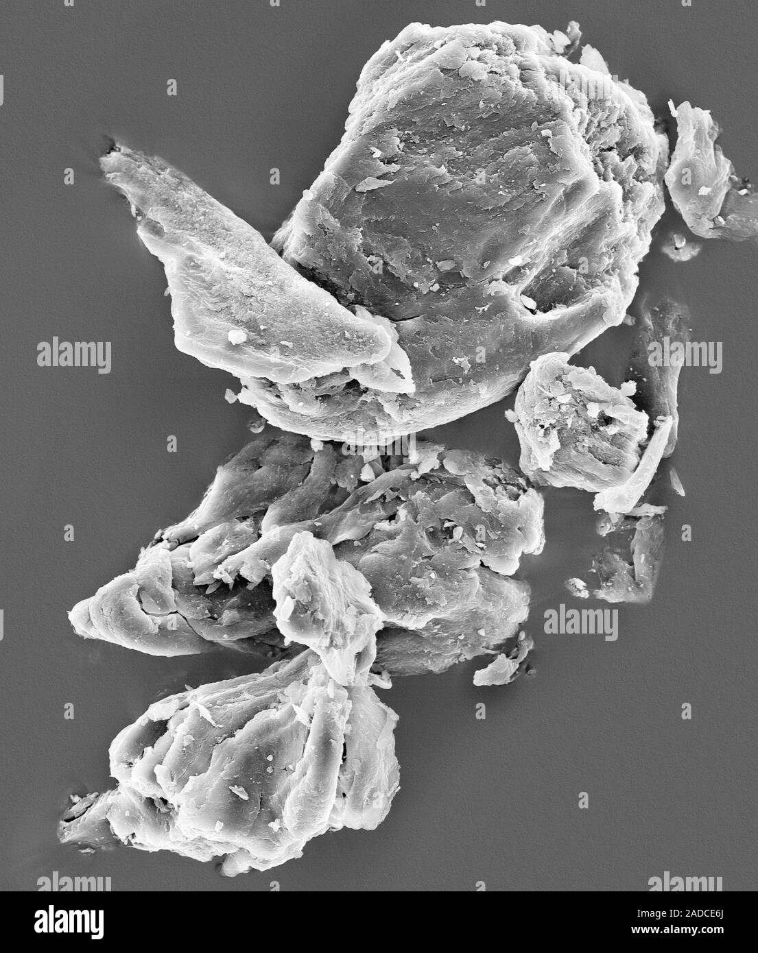 Scanning electron micrograph (SEM) of Xanthan gum, polysaccharide ...