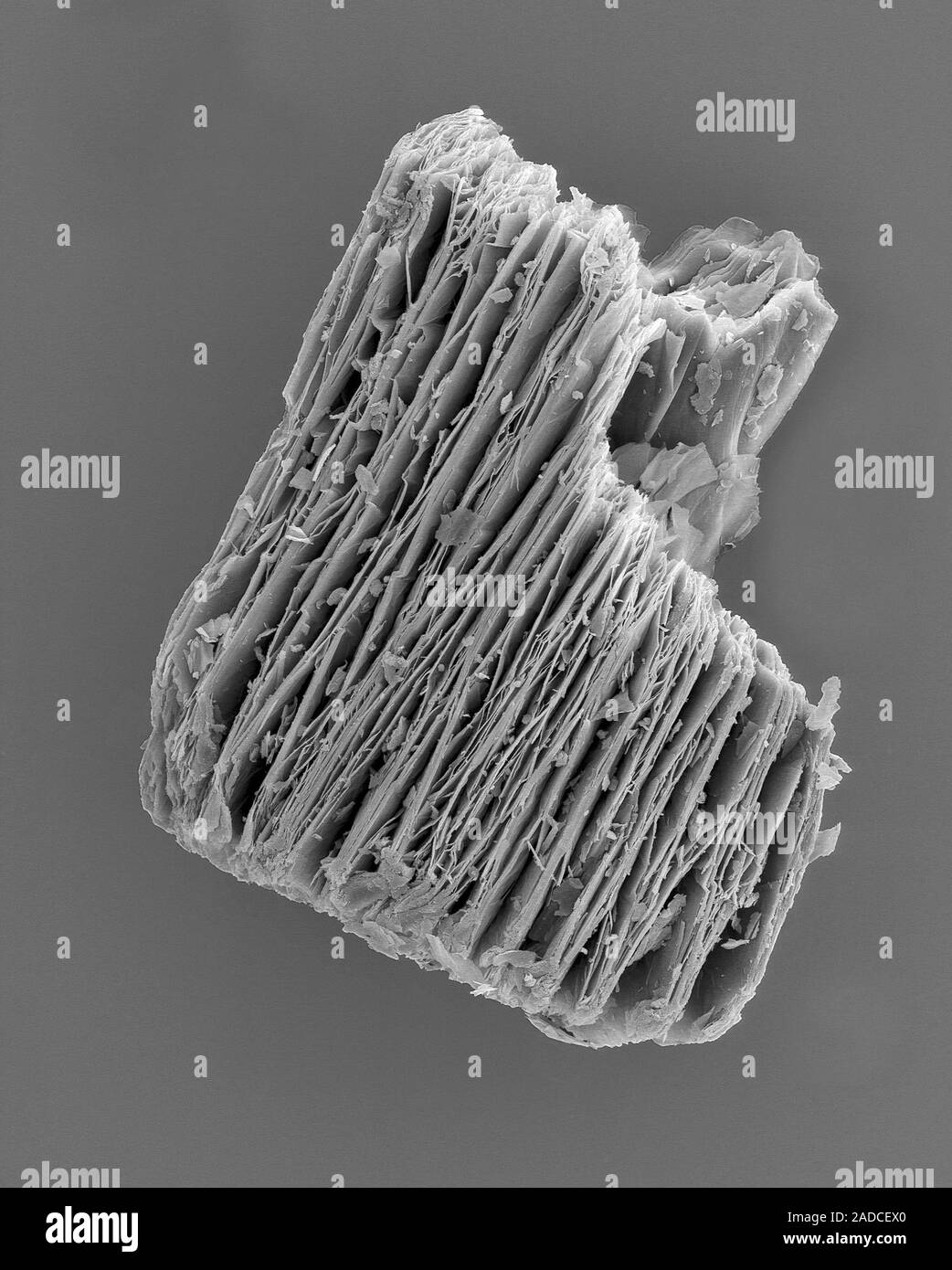 Scanning electron micrograph (SEM) of Expanded vermiculite pellet ...