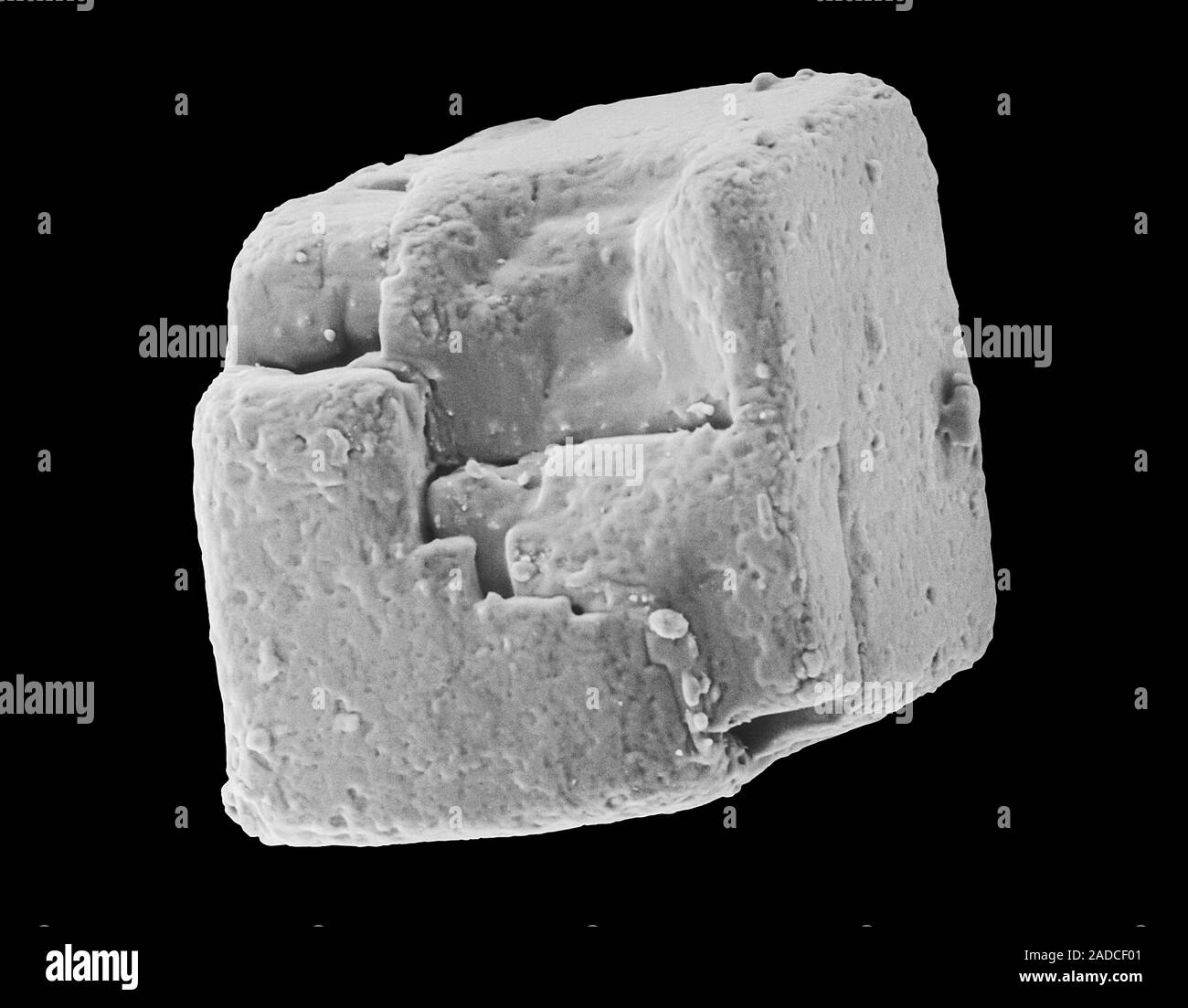 Scanning electron micrograph (SEM) of Table salt crystal (NaCl, sodium ...