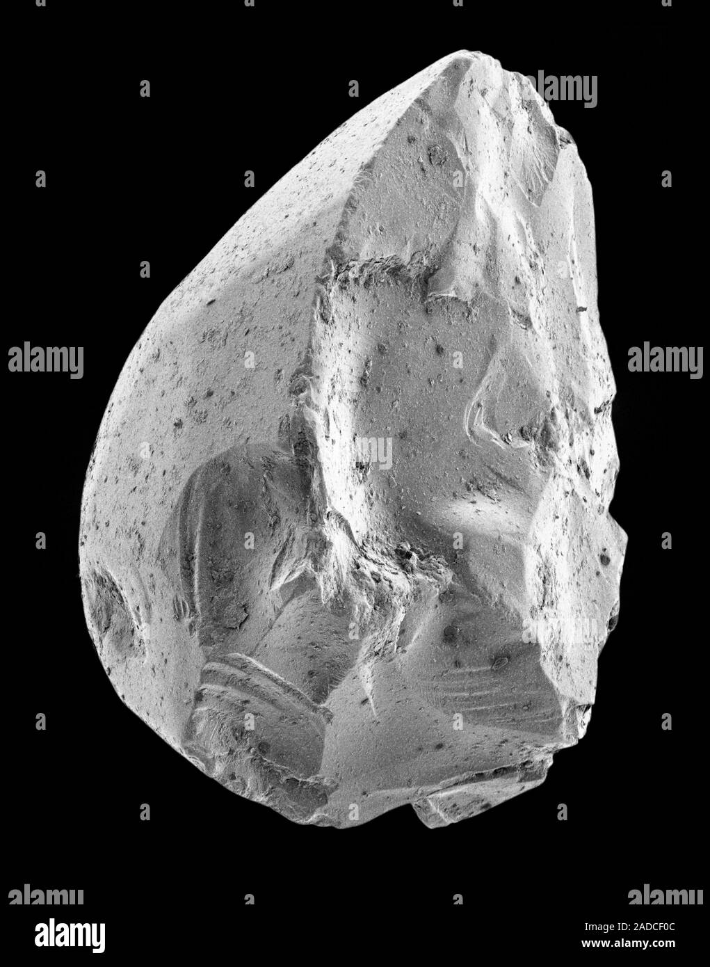 Scanning electron micrograph (SEM) of an uncut sapphire. Sapphire is a ...