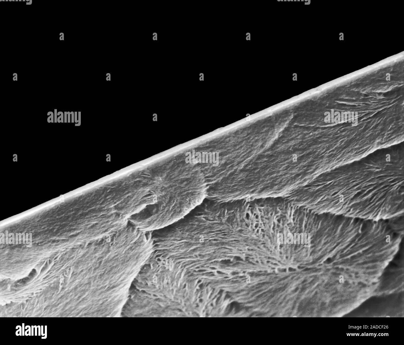 Scanning electron micrograph (SEM) of Edge of a new razor blade ...