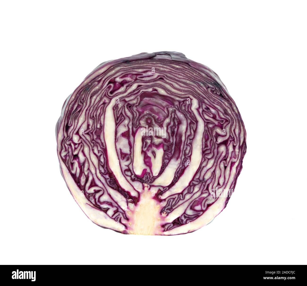Section of red cabbages isolated on white background Stock Photo - Alamy