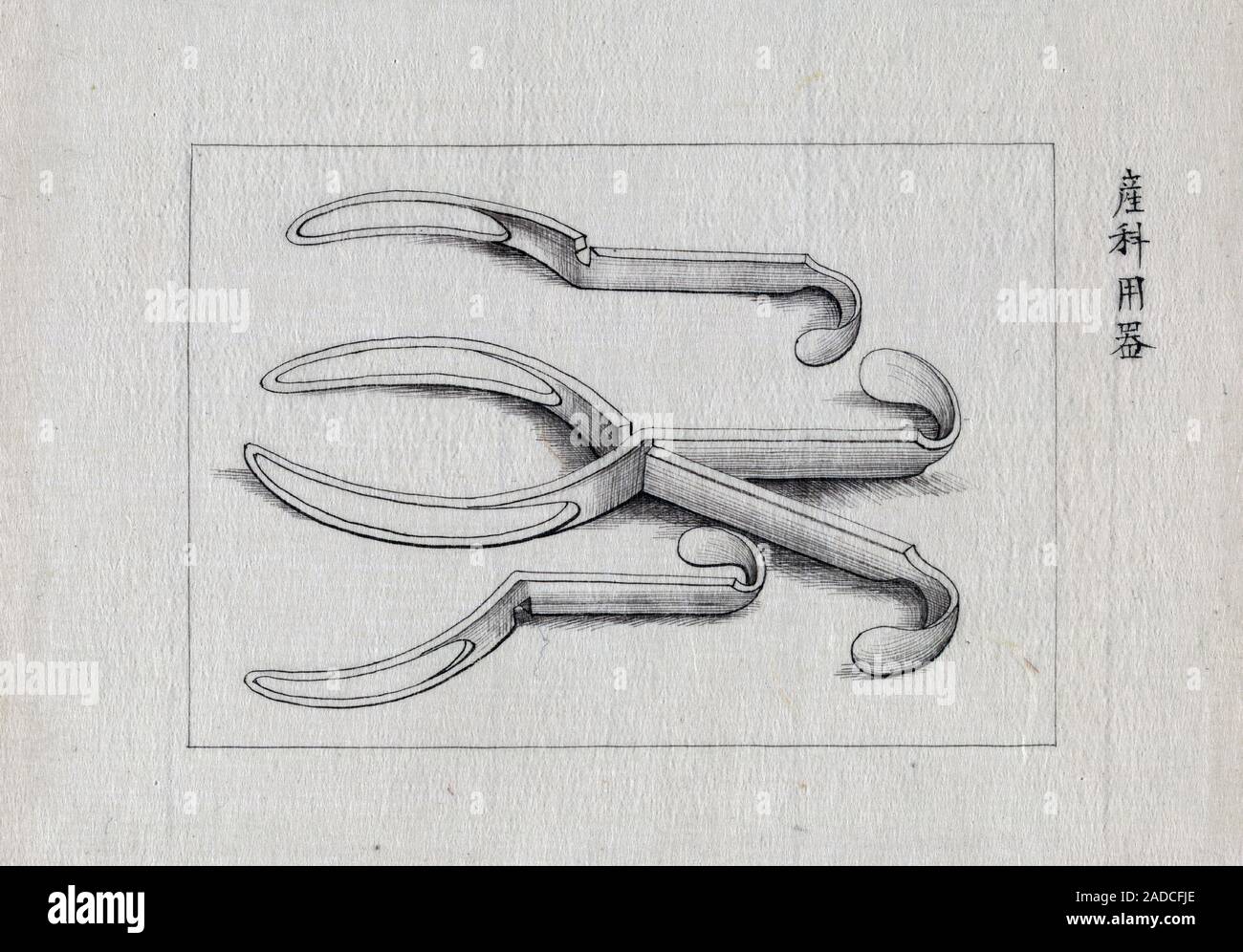 Forceps. 1878. Japanese ink drawing Stock Photo - Alamy