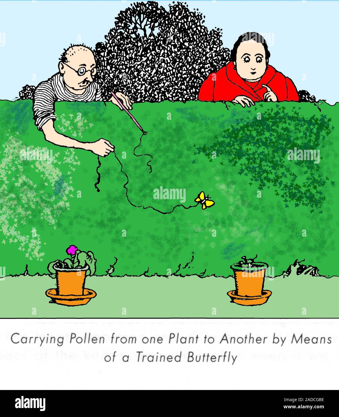 Coloured cartoon by the English cartoonist and illustrator William ...