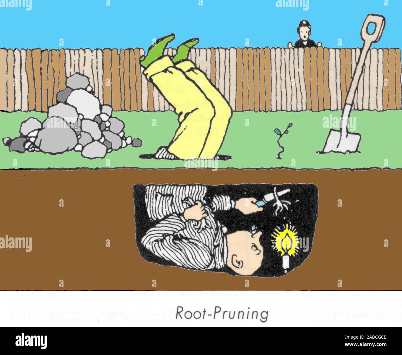 Coloured cartoon by the English cartoonist and illustrator William ...