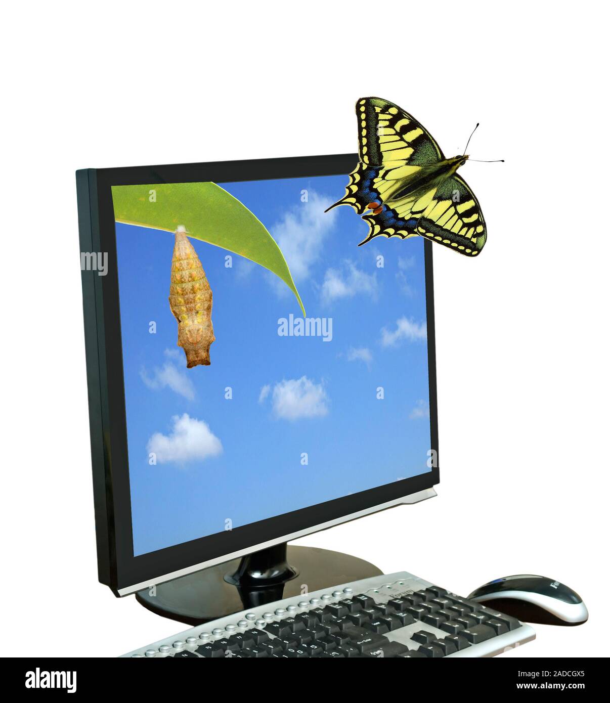 Flying off screen hi-res stock photography and images - Alamy