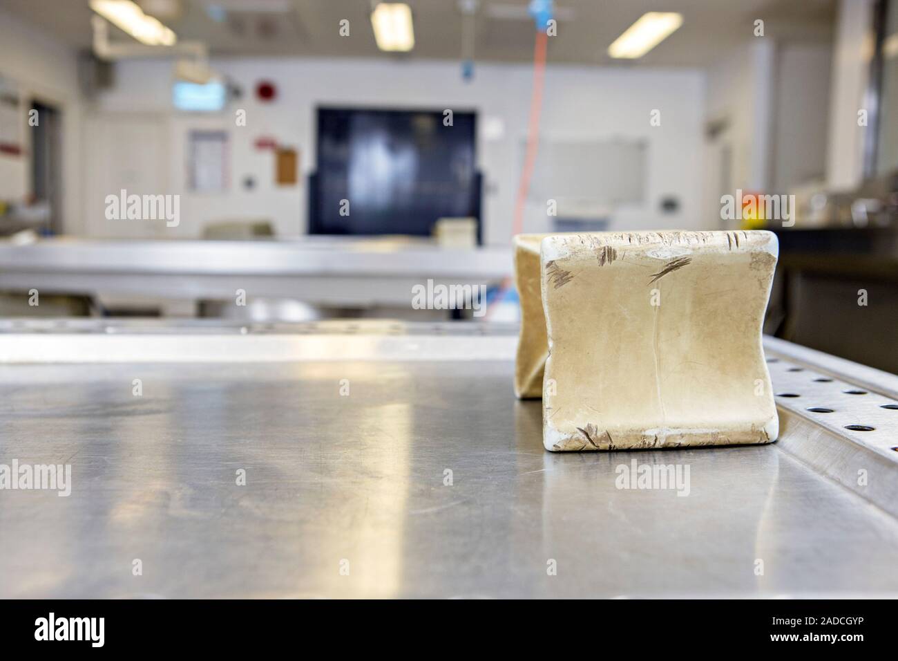 Autopsy room. Close-up of a head rest on an autopsy table in a mortuary ...