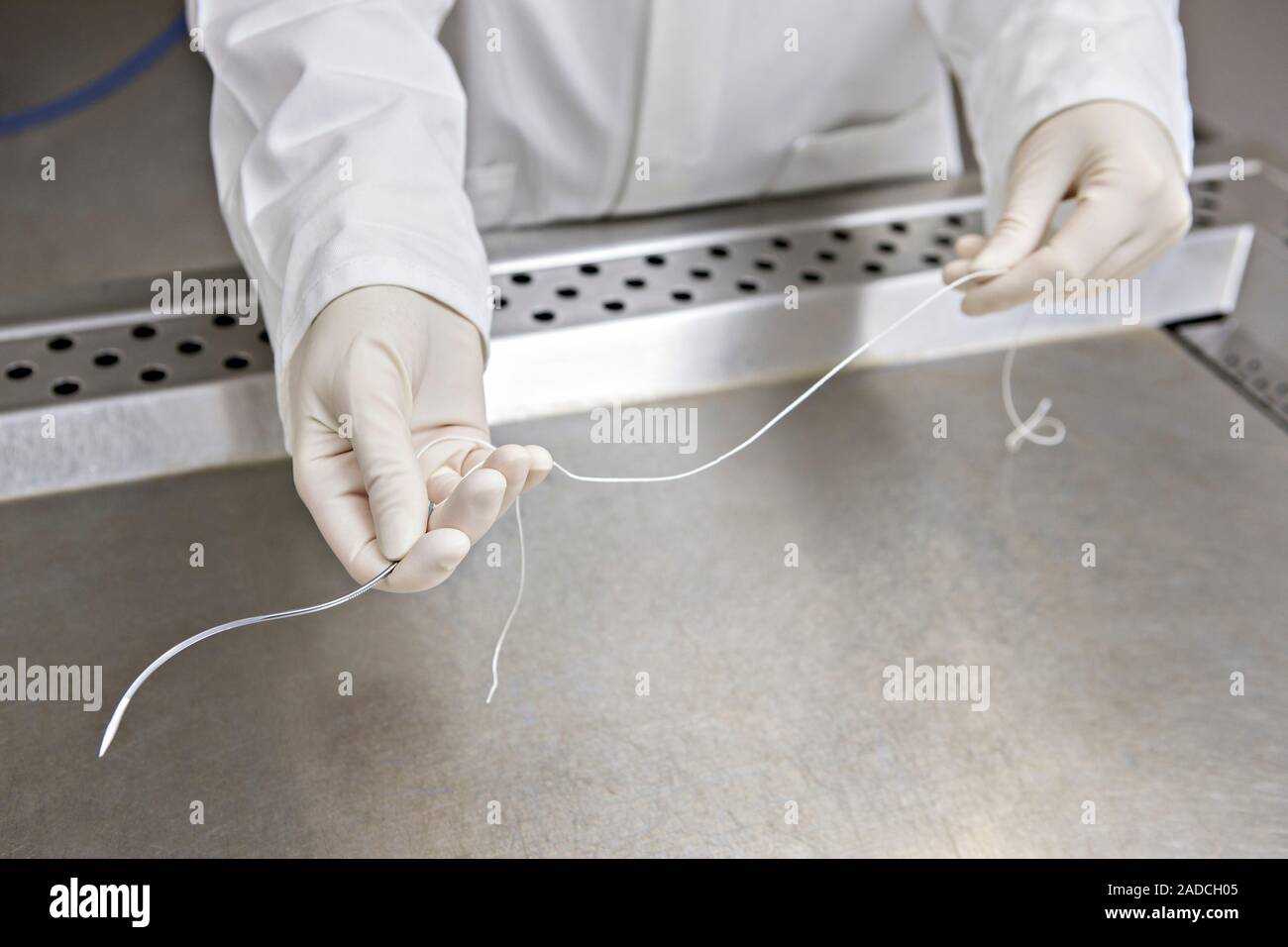 Autopsy room. Mortuary worker holding a surgical needle and thread used ...