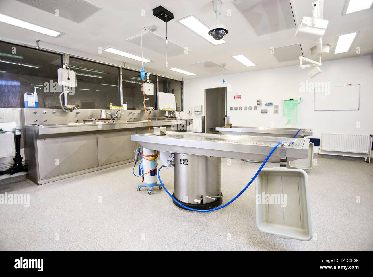 Autopsy room. Autopsy table and other equipment in a mortuary Stock ...