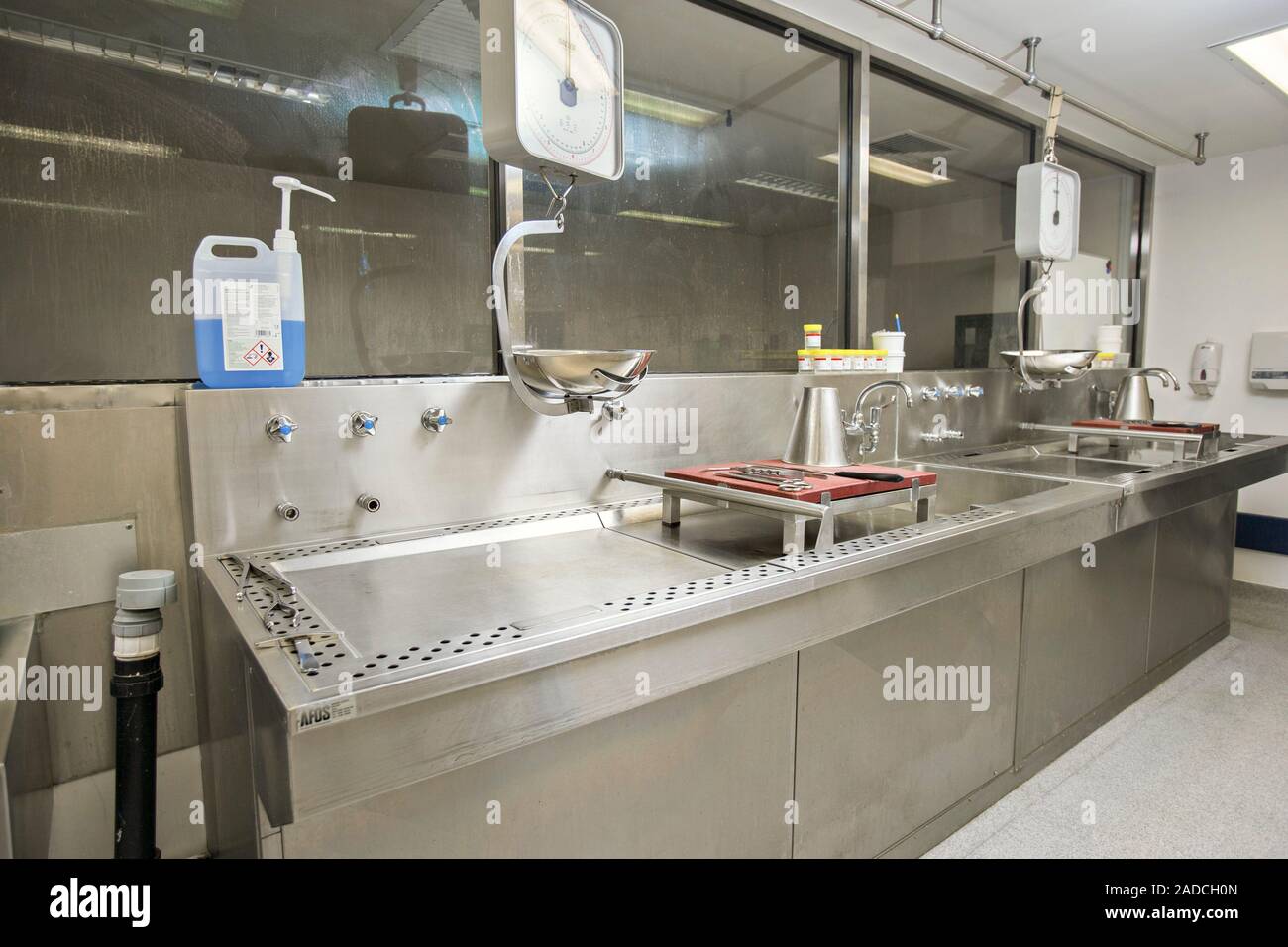 Autopsy room. Autopsy sinks and scales used to weigh body parts in a ...