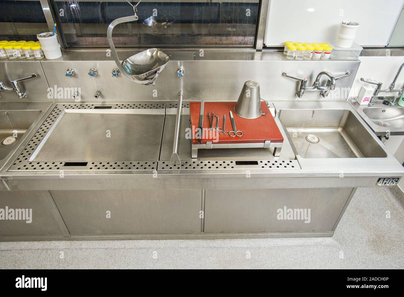 Autopsy room. Autopsy sinks and scales used to weigh body parts in a ...