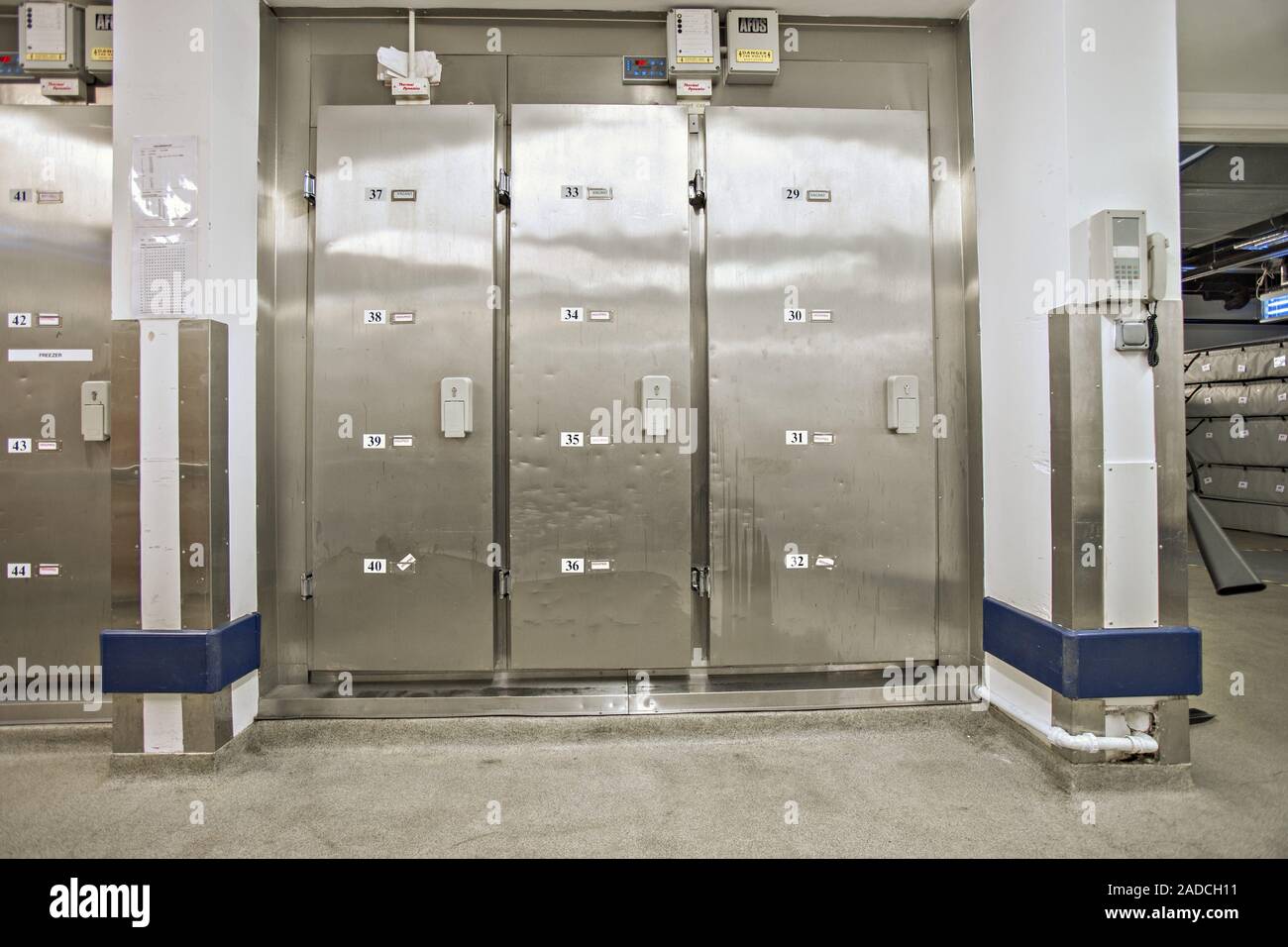 Mortuary. Refrigerated mortuary chambers used to hold dead bodies ...