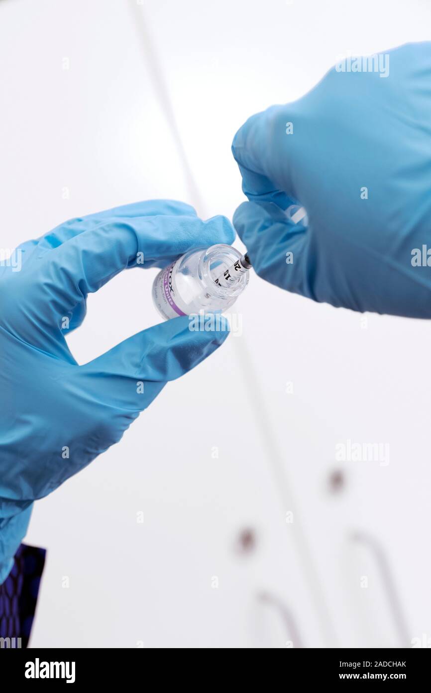 Preparing botox cosmetic toxin. Gloved hands of a plastic surgeon ...