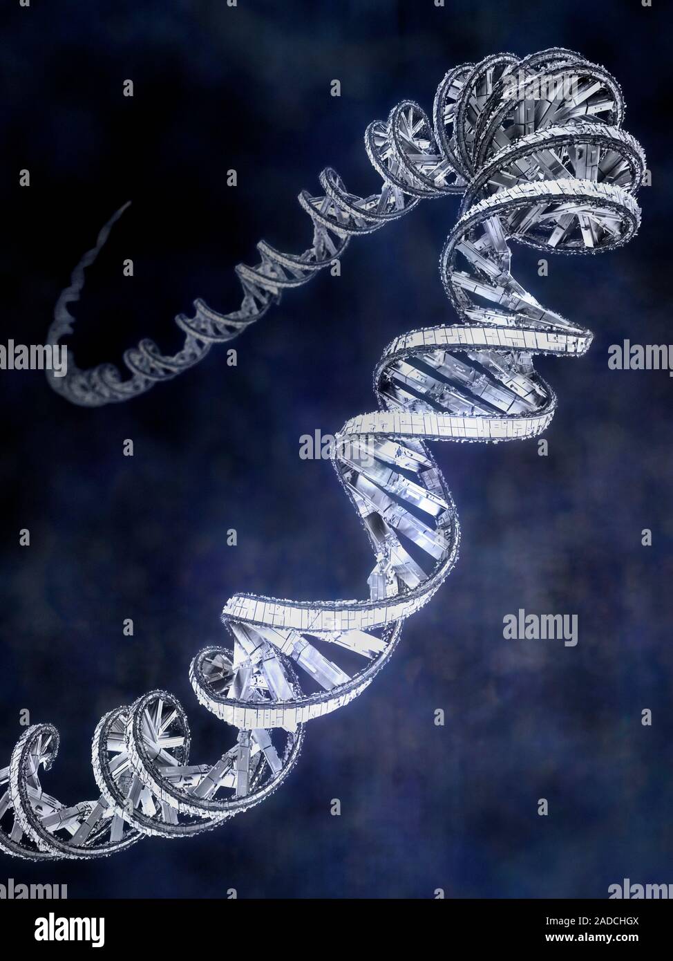 Genetic engineering, conceptual illustration Stock Photo - Alamy
