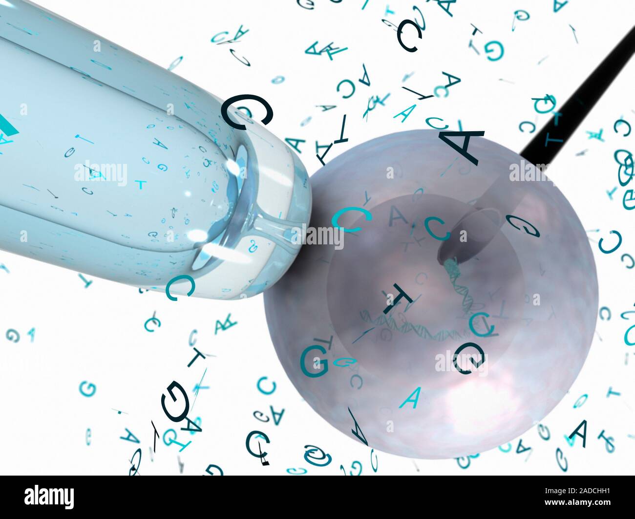 Genetic engineering, conceptual illustration Stock Photo - Alamy