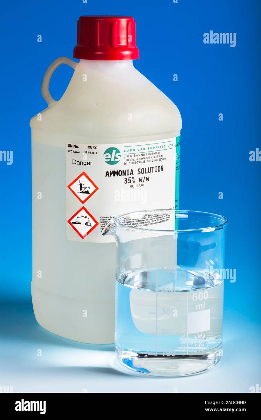 Laboratory bottle and beaker of ammonia solution, a solution of the gas ammonia (NH3) in water ...